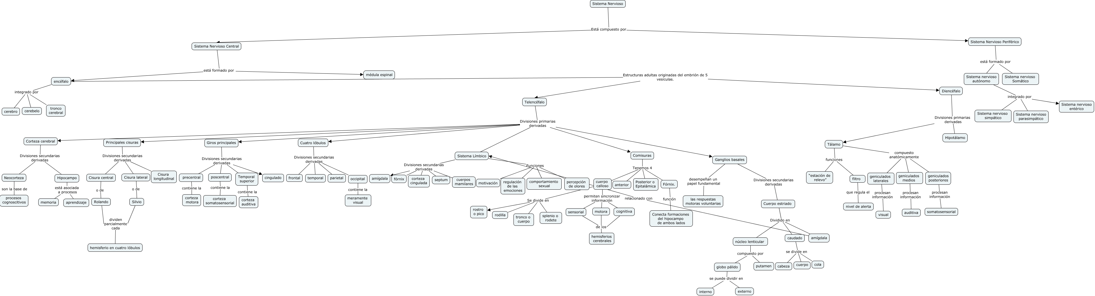 División macroscopica